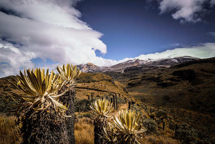 Importancia de las áreas protegidas en Colombia | UPB