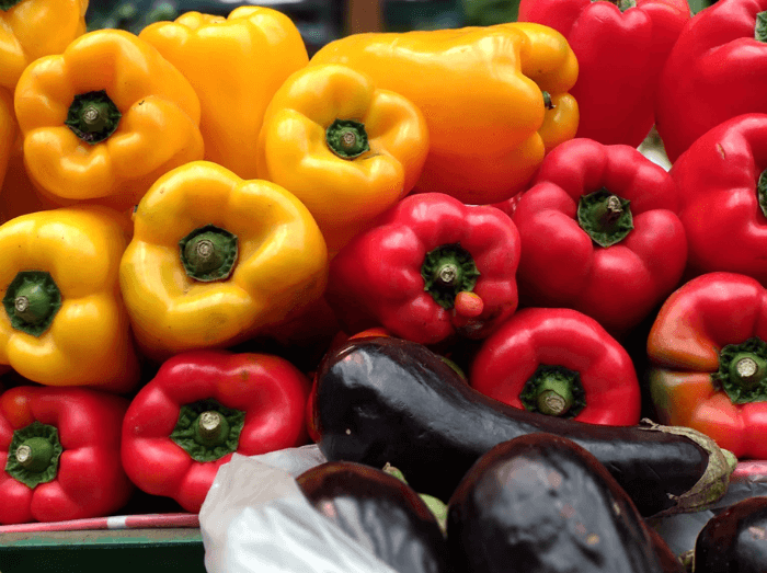 Políticas públicas para garantizar sistemas alimentarios | UPB